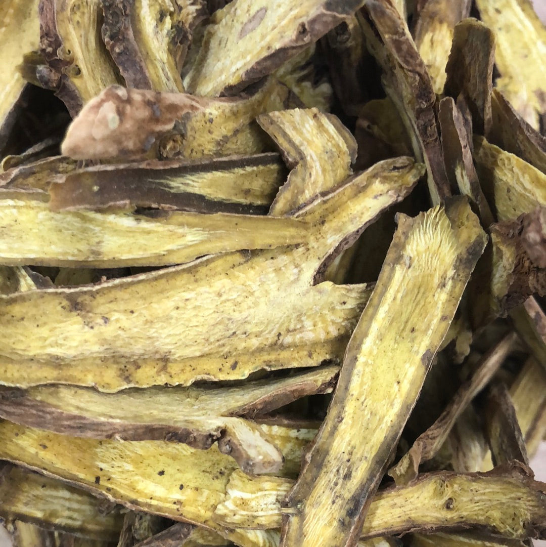 Skullcap, Baikal Root (Chinese Skullcap) Organic – Rosemary's Garden