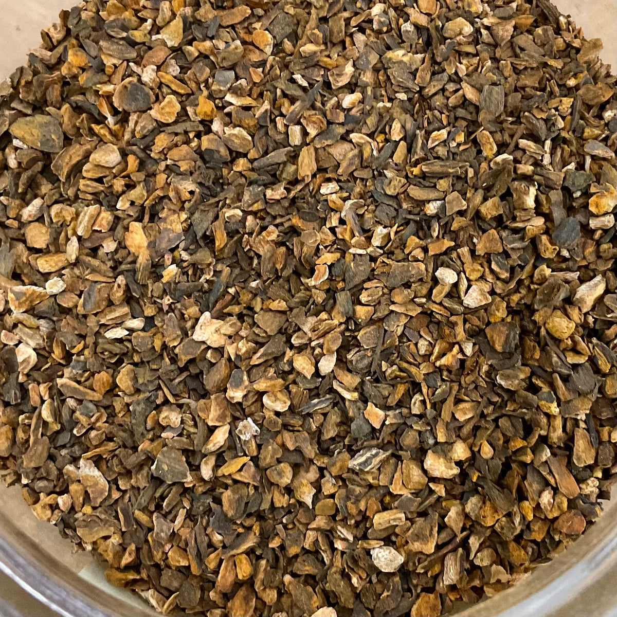 Turkey Rhubarb Root Organic – Rosemary's Garden