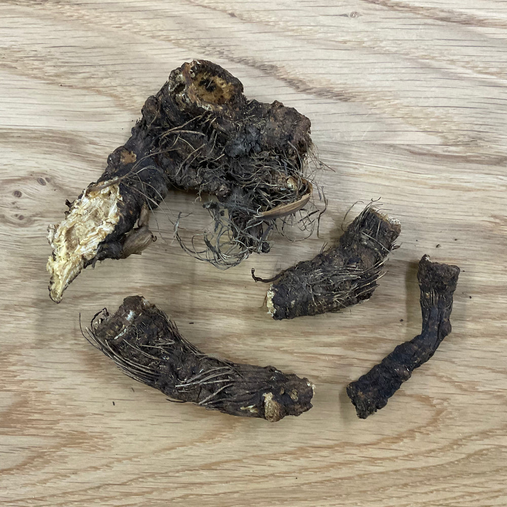 Osha Root Wildcrafted - various sizes – Rosemary's Garden