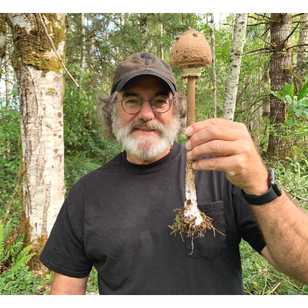 Mushrooms - Mycelium Running by Paul Stamets – Rosemary's Garden
