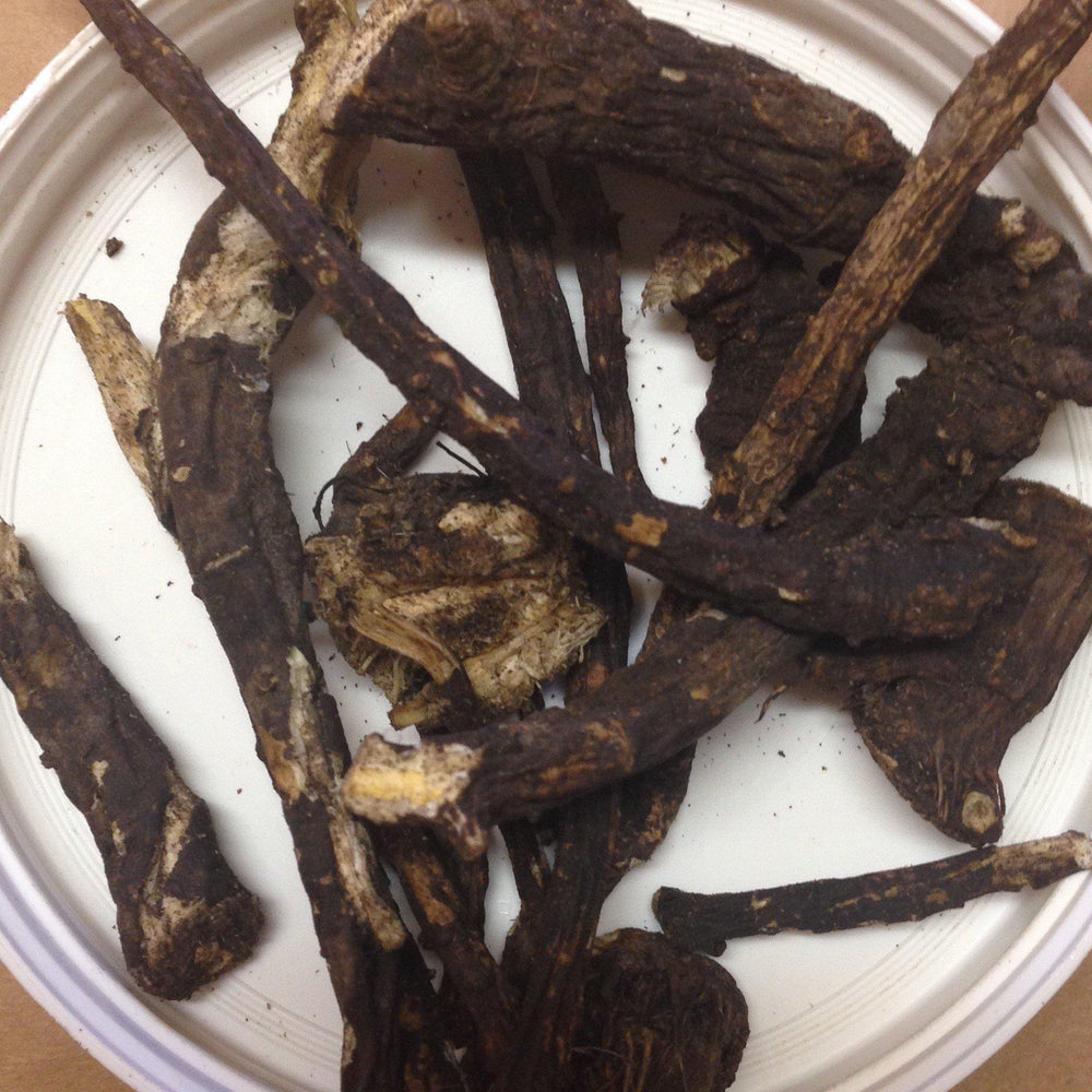 Osha Root Whole Wildcrafted 1oz – Rosemary's Garden